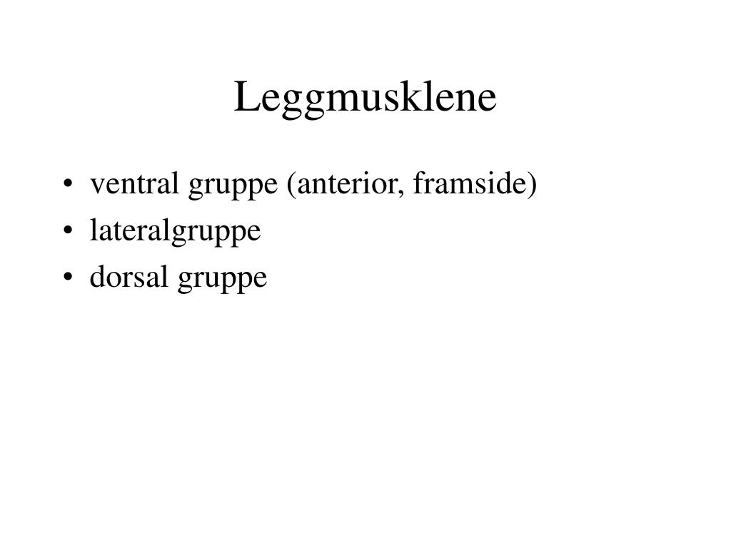 PPT - Du bør ha en modell eller en plansje over tibia, fibula og foten ...