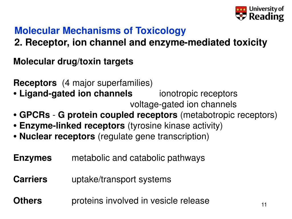 PPT - Drug Toxicity: Molecular Mechanisms in Toxicology PowerPoint ...