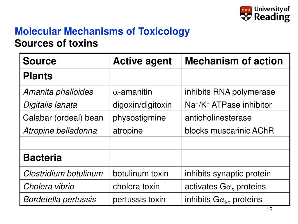 PPT - Drug Toxicity: Molecular Mechanisms in Toxicology PowerPoint ...