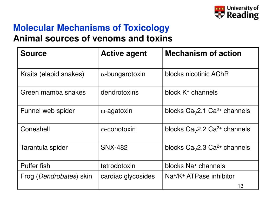 PPT - Drug Toxicity: Molecular Mechanisms in Toxicology PowerPoint ...