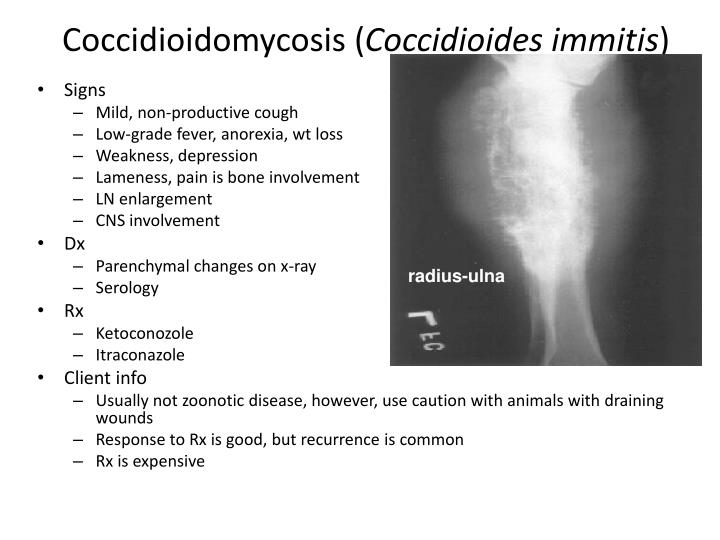 PPT - Cardiorespiratory Diseases PowerPoint Presentation - ID:1391764