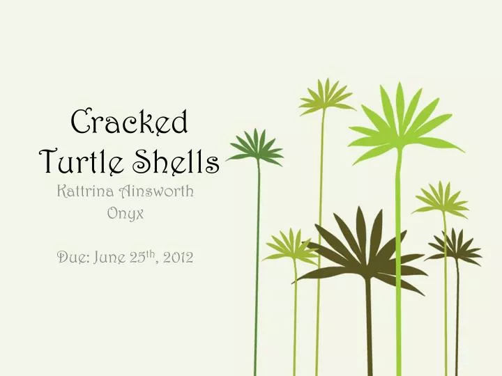 PPT - Cracked Turtle Shells PowerPoint Presentation, free download - ID ...