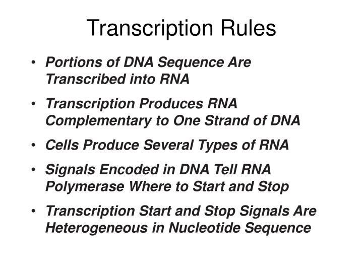 PPT - CHAPTER 6 HOW CELLS READ THE GENOME: FROM DNA TO PROTEIN ...