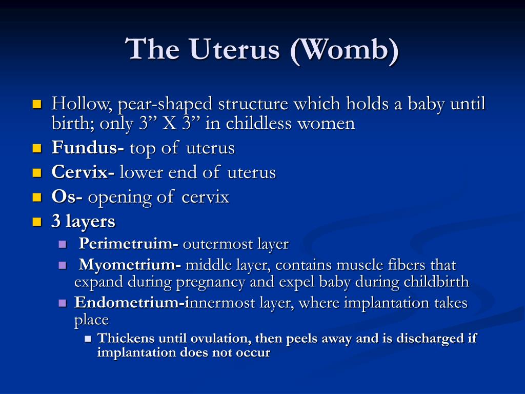 PPT - Chapter 4: Female Sexual and Reproductive Anatomy and Physiology ...