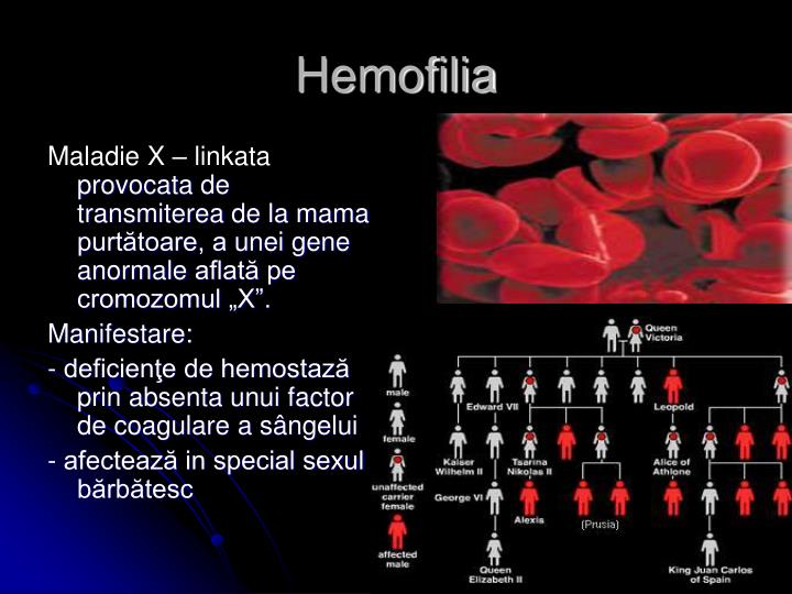 PPT - M utageneza si teratogeneza umana PowerPoint Presentation - ID ...