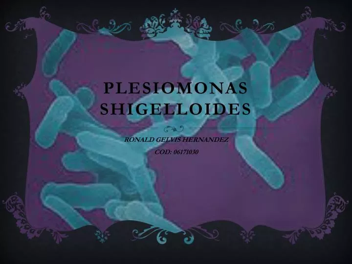 PPT - PLESIOMONAS SHIGElLOIDES PowerPoint Presentation, free download ...