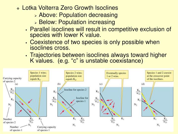 PPT - Modeling Interspecific Competition Lotka Volterra PowerPoint ...