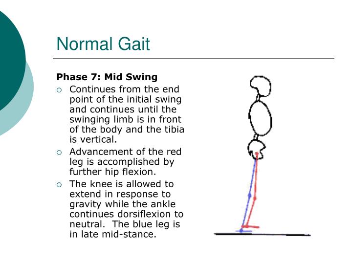 PPT - Gait Analysis PowerPoint Presentation - ID:1394120
