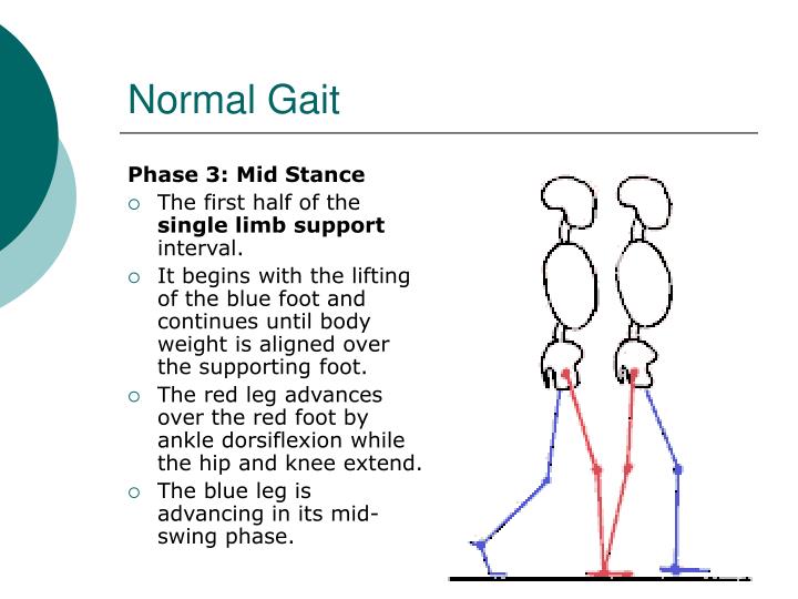 PPT - Gait Analysis PowerPoint Presentation - ID:1394120