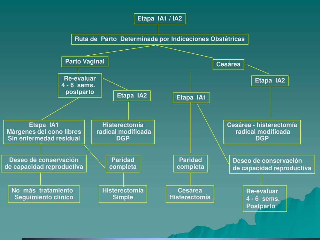 PPT - UNIDAD DE GINECOLOGIA ONCOLOGICA Y ENFERMEDADES MAMARIAS ...