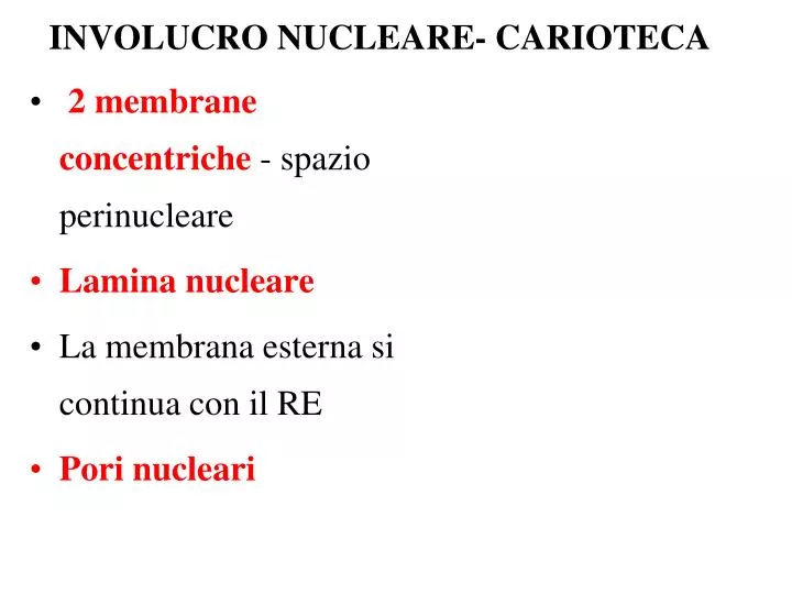 PPT - INVOLUCRO NUCLEARE- CARIOTECA PowerPoint Presentation, free ...