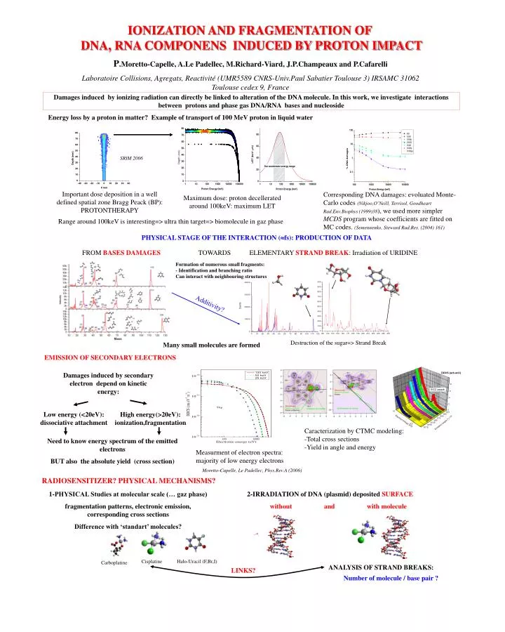 PPT - IONIZATION AND FRAGMENTATION OF DNA, RNA COMPONENS INDUCED BY ...