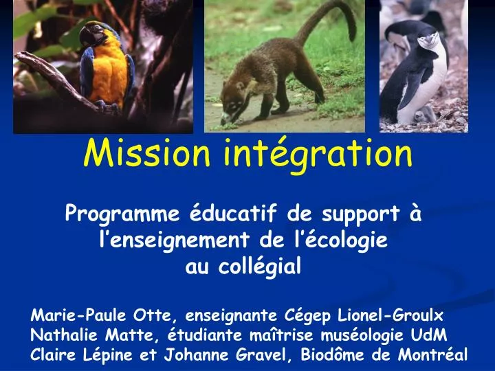 PPT - Mission intégration PowerPoint Presentation, free download - ID ...