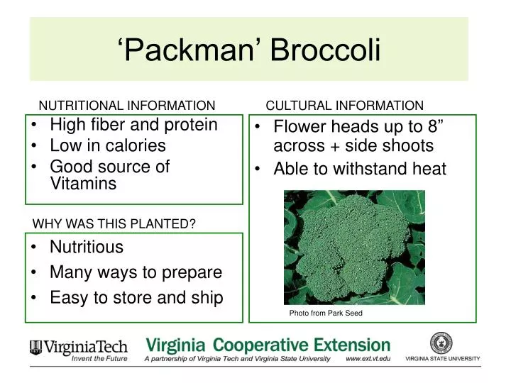 PPT - ‘Packman’ Broccoli PowerPoint Presentation, free download - ID ...