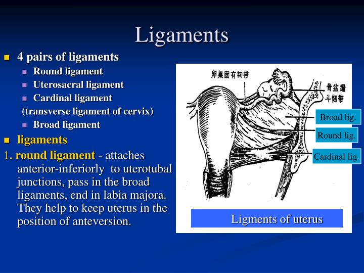 PPT - Reference PowerPoint Presentation - ID:1396839