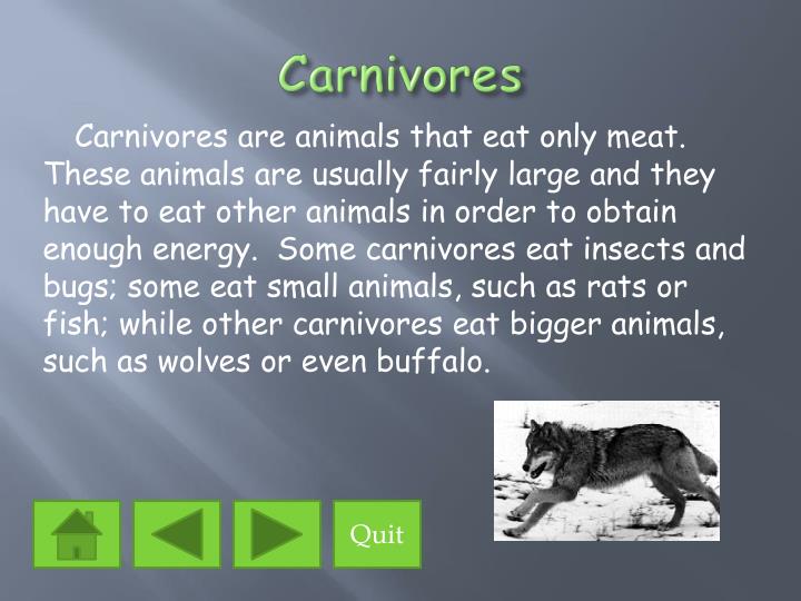 PPT - The Eating Habits of Animals PowerPoint Presentation - ID:1397083