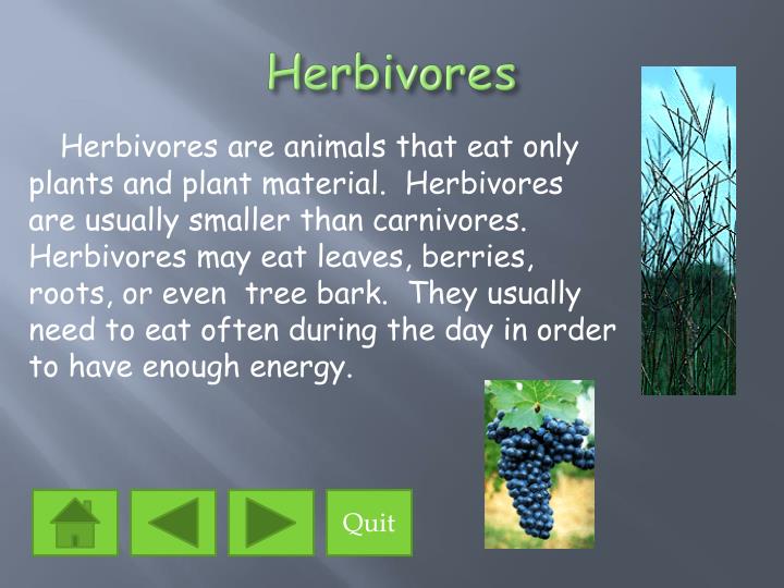PPT - The Eating Habits of Animals PowerPoint Presentation - ID:1397083