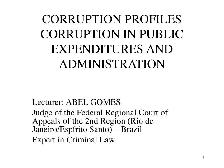PPT - CORRUPTION PROFILES CORRUPTION IN PUBLIC EXPENDITURES AND ...