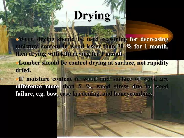 PPT - Drying PowerPoint Presentation, free download - ID:1397889