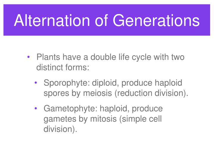 PPT - Plant Reproduction PowerPoint Presentation - ID:1398395