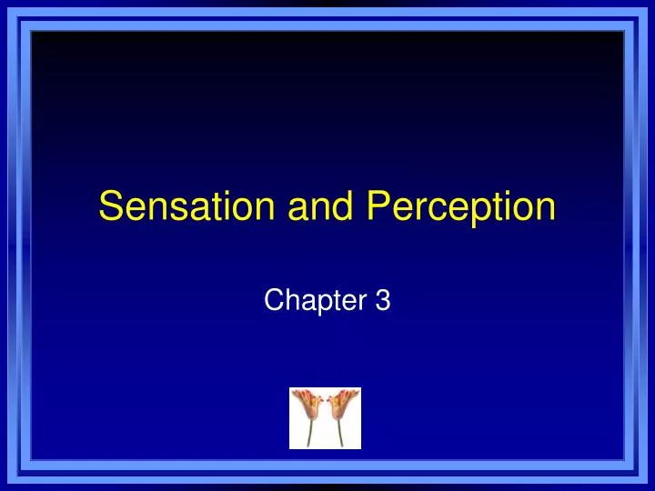 PPT - Sensation and Perception PowerPoint Presentation, free download ...