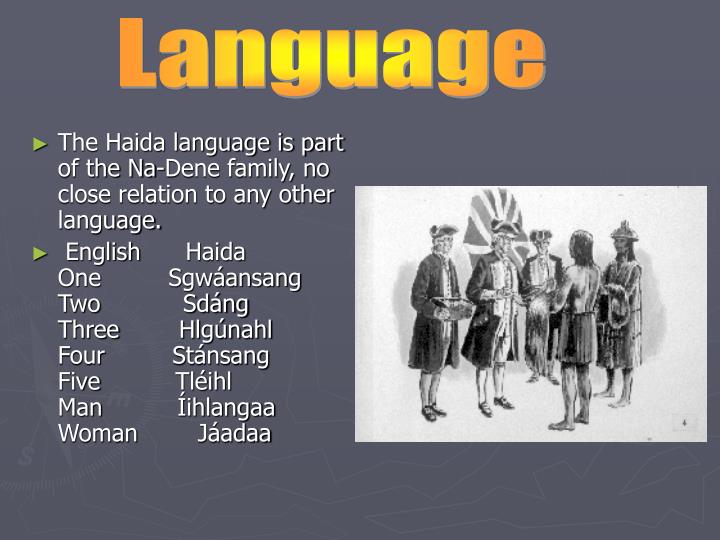 PPT - HAIDA PowerPoint Presentation - ID:1398581