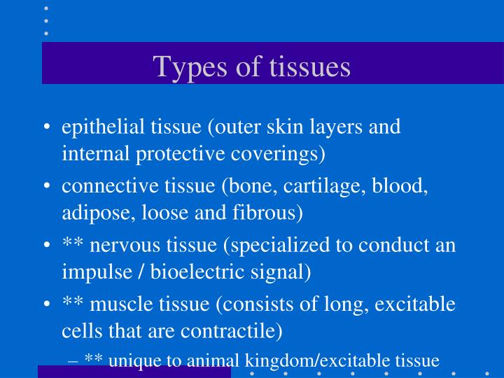 PPT - Unit 12: Animal Structure and Function, Part A PowerPoint ...