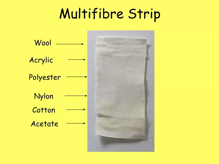 PPT - Multifibre Strip PowerPoint Presentation, free download - ID:139909