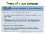 PPT - Translocation in the Phloem PowerPoint Presentation - ID:1399368