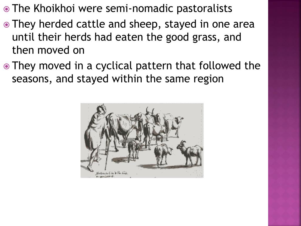 PPT - Cultural Contact in Southern Africa PowerPoint Presentation, free ...