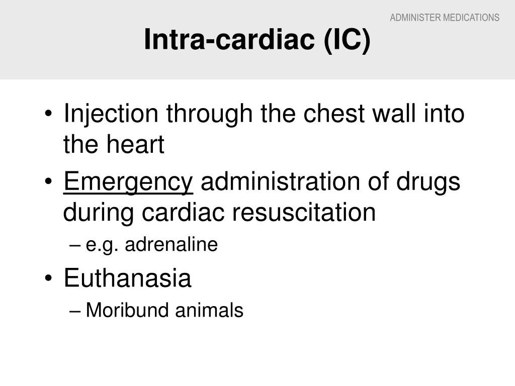 PPT - Veterinary Medical Nursing PowerPoint Presentation, free download ...