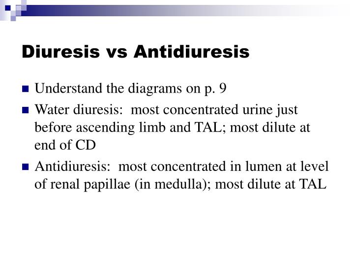 PPT - Renal Review PowerPoint Presentation - ID:1400305
