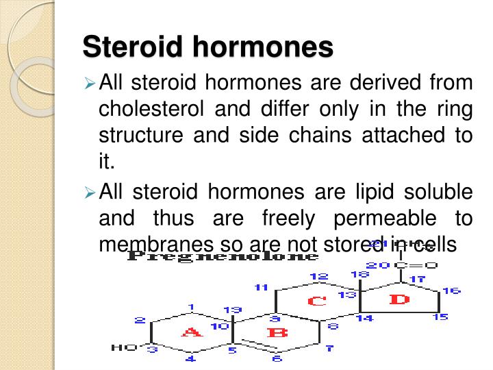 PPT - Steroid Hormones,Congenital Adrenal hyperplasia and Testicular ...