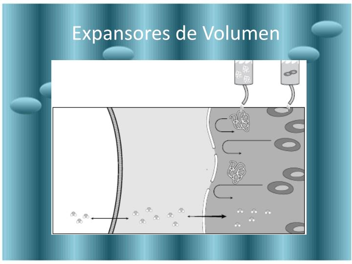 PPT - Terapia de Líquidos y Electrolitos PowerPoint Presentation - ID ...