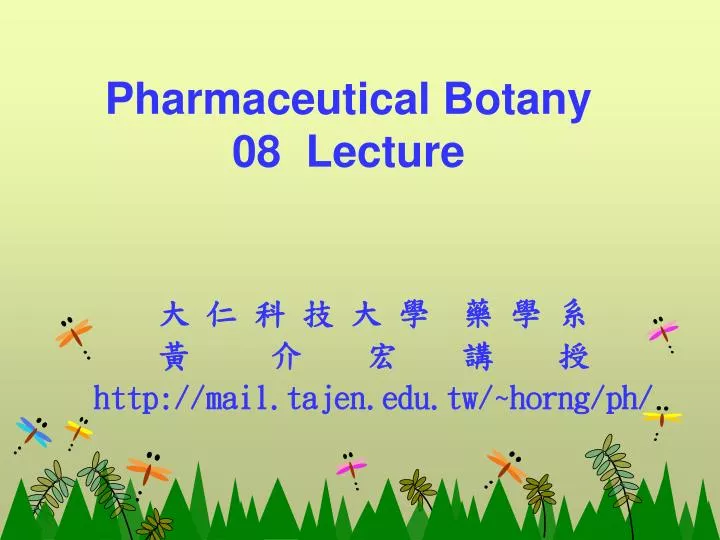 PPT - Pharmaceutical Botany 08 Lecture PowerPoint Presentation, free ...