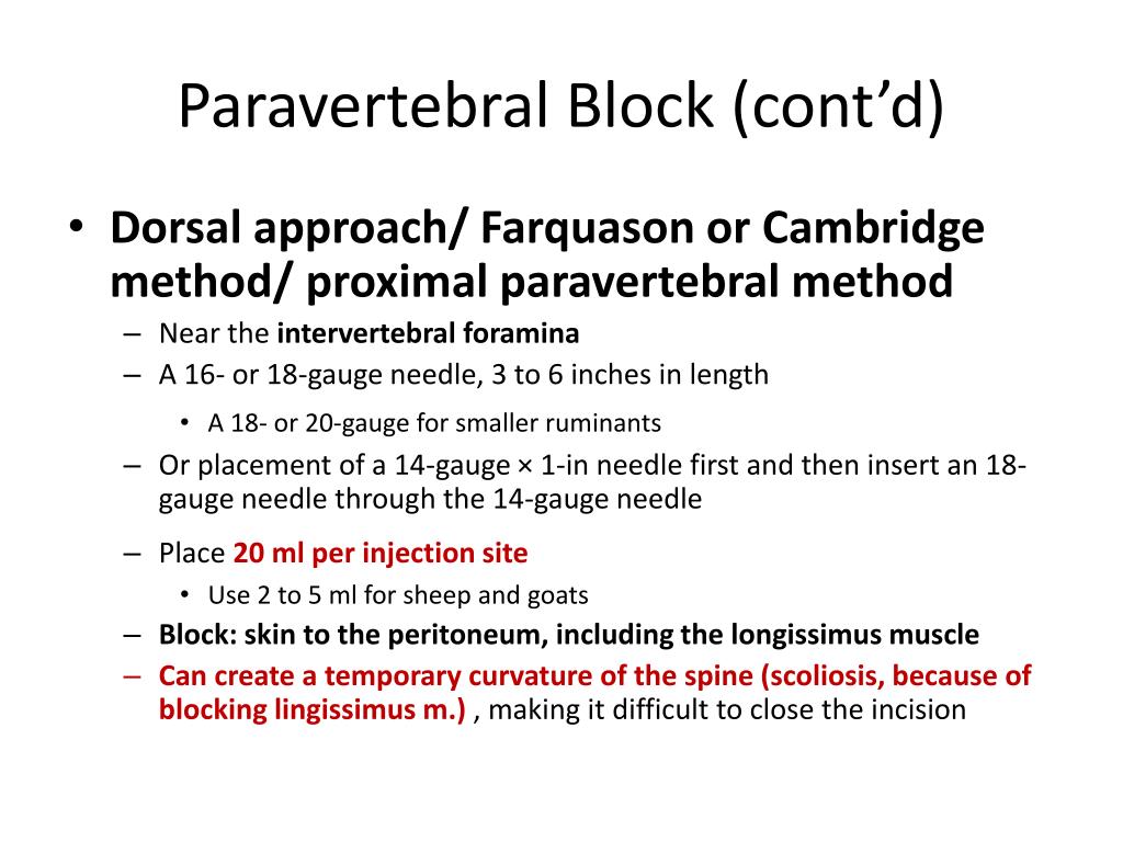 PPT - Bovine Surgical Procedures Key Terms : Casting, Cosmetic ...