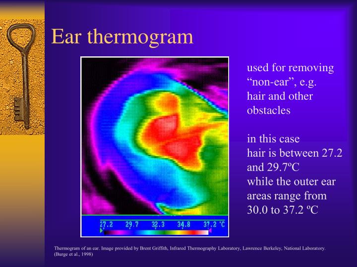 PPT - Ear biometrics PowerPoint Presentation - ID:1405647