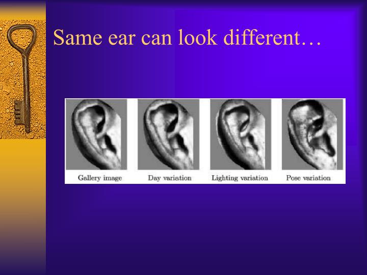PPT - Ear biometrics PowerPoint Presentation - ID:1405647