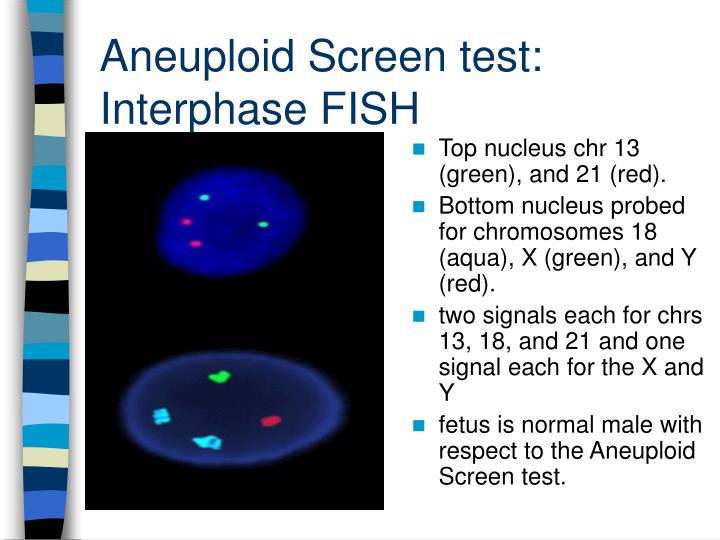 PPT - Cytogenetics PowerPoint Presentation - ID:1406002