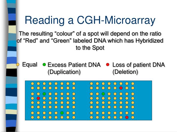 PPT - Cytogenetics PowerPoint Presentation - ID:1406002