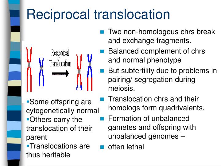 PPT - Cytogenetics PowerPoint Presentation - ID:1406002