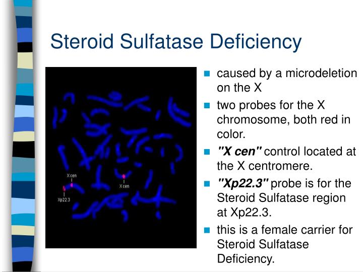 PPT - Cytogenetics PowerPoint Presentation - ID:1406002