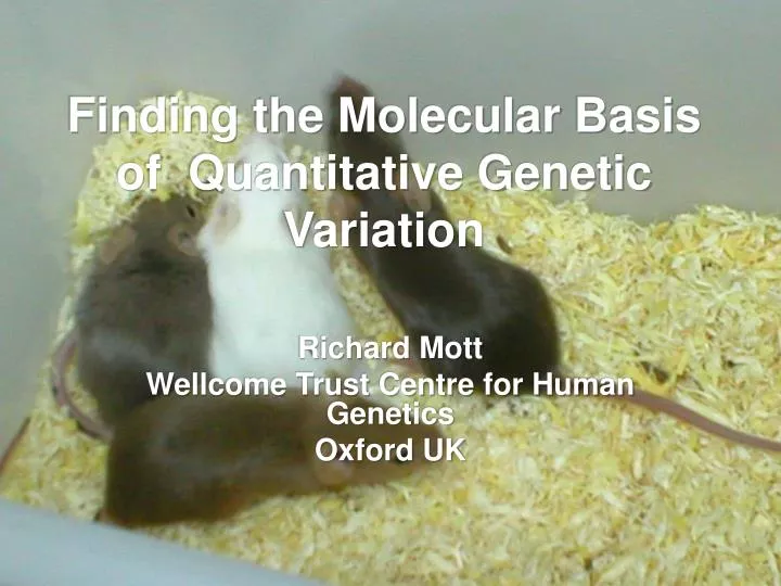 PPT - Finding the Molecular Basis of Quantitative Genetic Variation ...