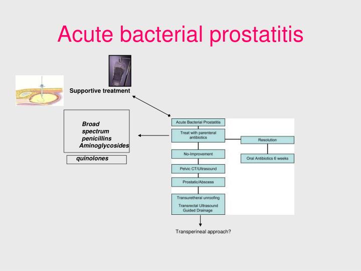PPT - PROSTATITIS PowerPoint Presentation - ID:1406222