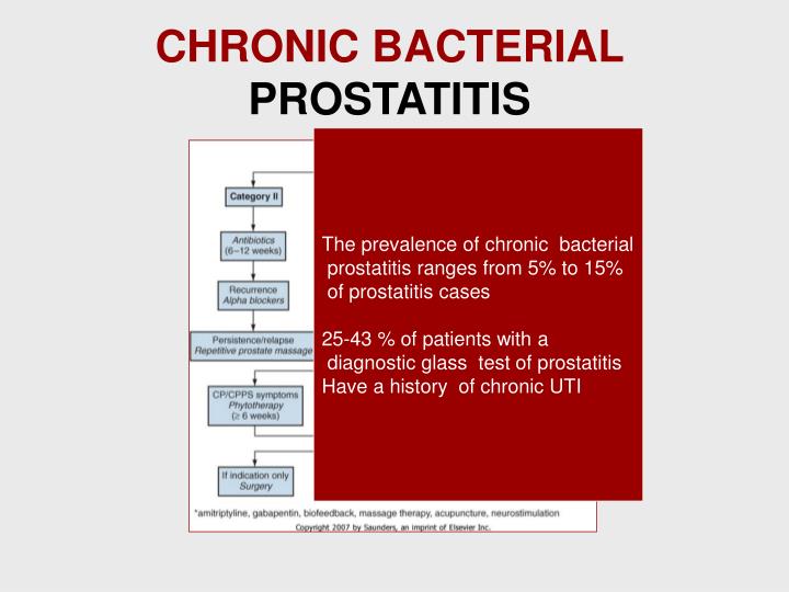 PPT - PROSTATITIS PowerPoint Presentation - ID:1406222