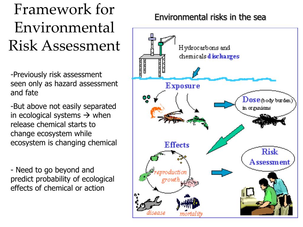 PPT - Environmental Risk Assessment PowerPoint Presentation, free ... PPT - Environmental Risk Assessment PowerPoint Presentation, free ...