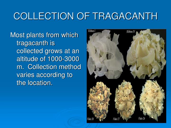 PPT - GUMS & MUCILAGE PowerPoint Presentation - ID:140816