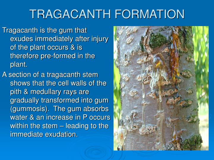 PPT - GUMS & MUCILAGE PowerPoint Presentation - ID:140816