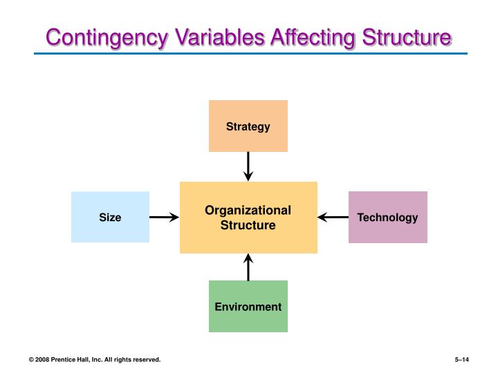 PPT - Basic Organization Designs PowerPoint Presentation - ID:1408179