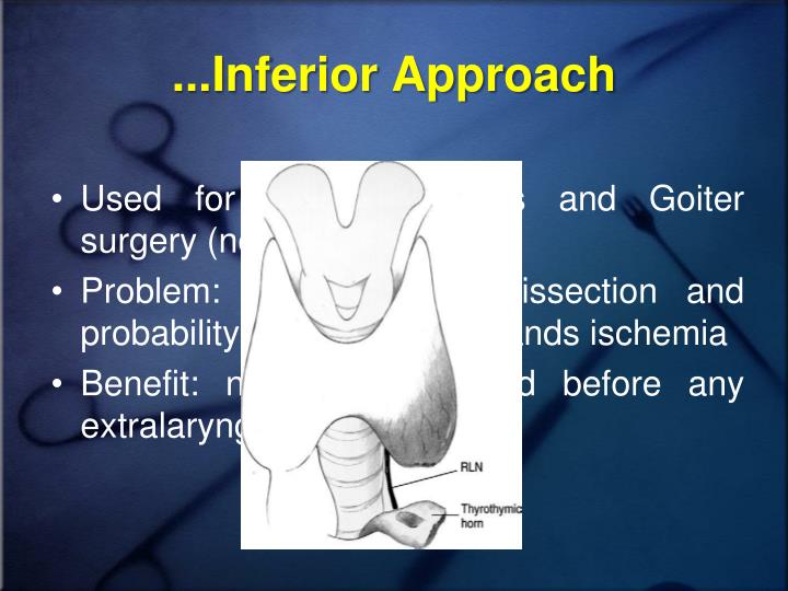 PPT - Surgical Anatomy Thyroid and Parathyroid Glands PowerPoint ...